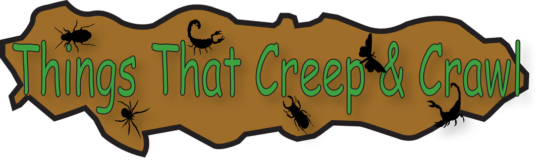 Just Dream Productions